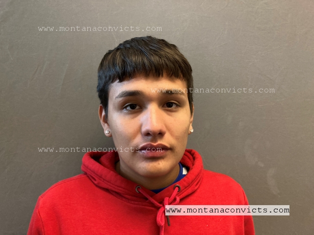 Nathen Patrick Doyle - Montana Convicts