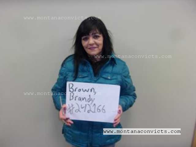 Brandy Lee Brown - Montana Convicts