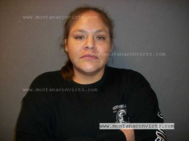 Misty Rose Old Elk - Montana Convicts