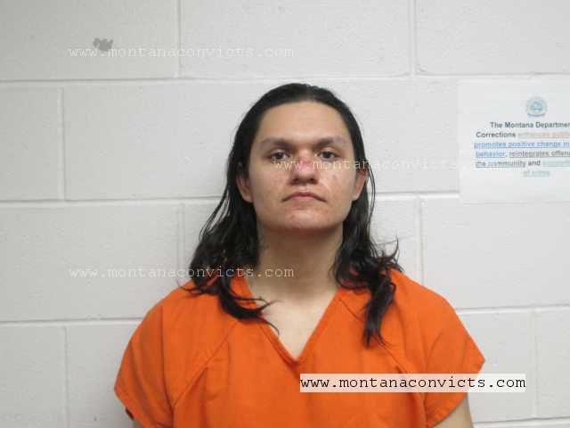 Matthew Mortimer Stops - Montana Convicts