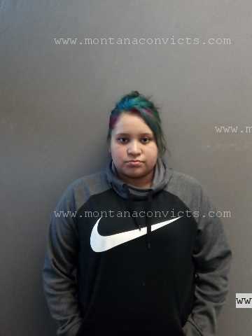 Danielle Lee Knows His Gun - Montana Convicts